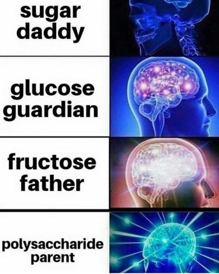 Best Sugar Baby Memes in 2025