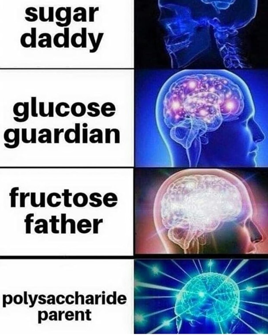 Best Sugar Baby Memes in 2026