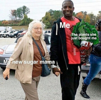 Best Sugar Momma Memes in 2025